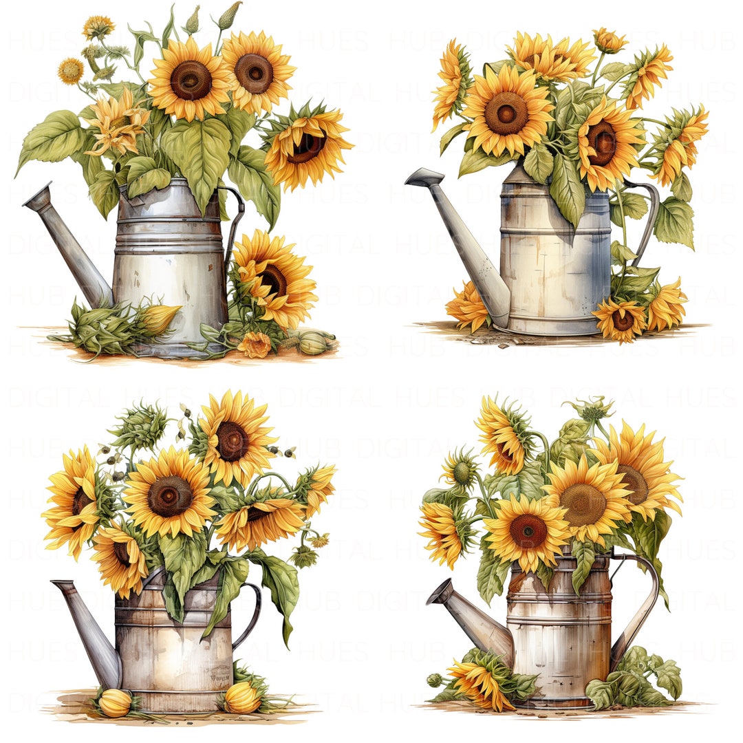 10 Rustic Sunflower Watering Can Clipart Bundle Watercolor Floral Water ...