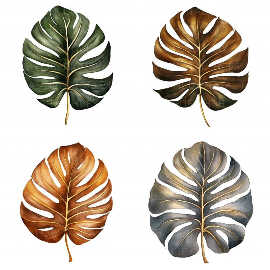 15 Colorful Monstera Leaf Clipart Botanical Clipart Watercolor Monstera ...