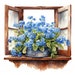 11 Forget Me Not Flower Box on Window Clipart Bundle Watercolor Window ...
