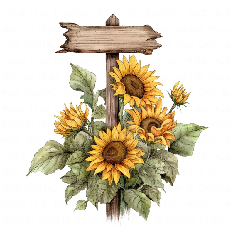 12 Floral Road Sign Clipart Bundle Watercolor Sunflower Rustic Wood ...