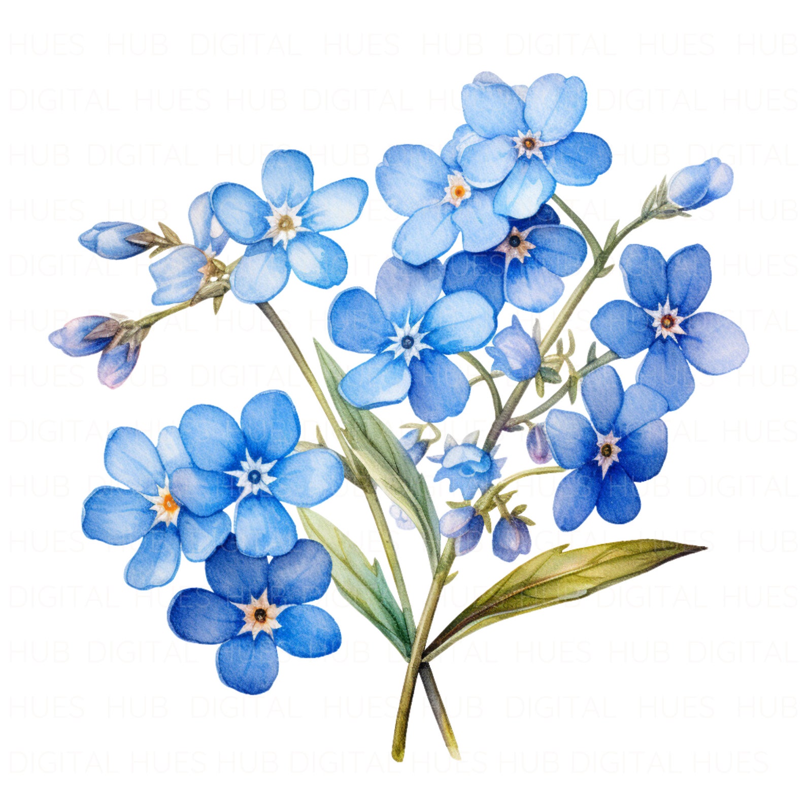 18 Forget Me Not Flower Clipart Bundle Watercolor Forget Me Not ...