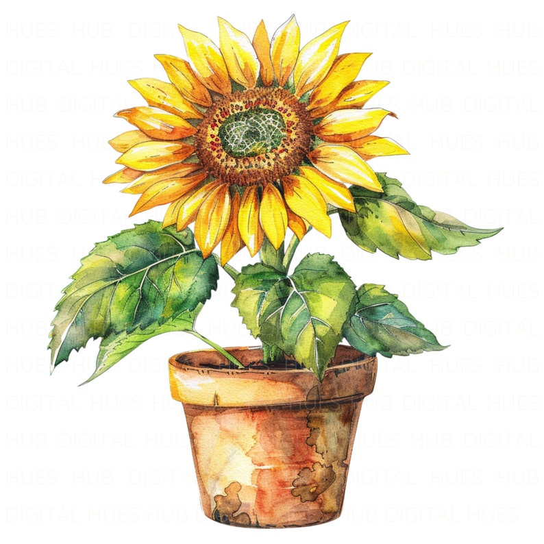10 Sunflower Pot Clipart Bundle Watercolor Summer Flower Pot Printable ...