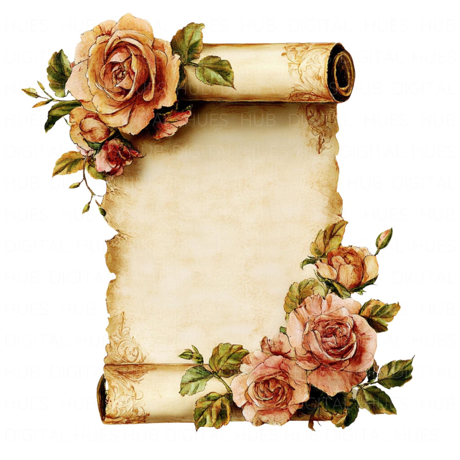 16 Vintage Floral Scroll Clipart Watercolor Antique Floral Old Paper ...
