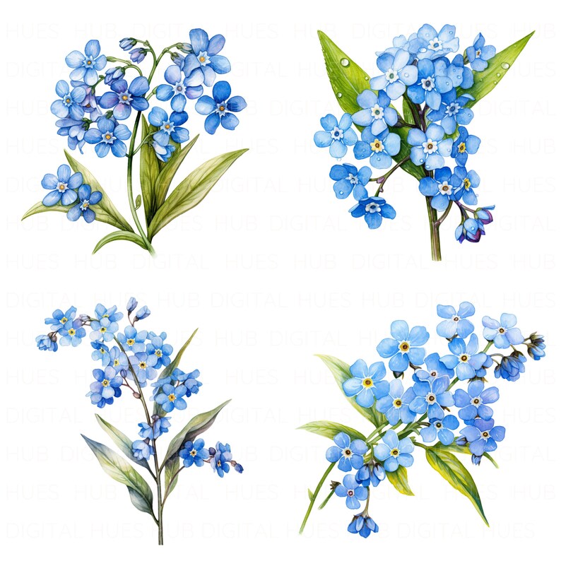 18 Forget Me Not Flower Clipart Bundle Watercolor Forget Me Not ...