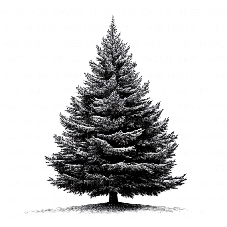 12 Black White Christmas Tree Clipart Watercolor Festive Holiday ...