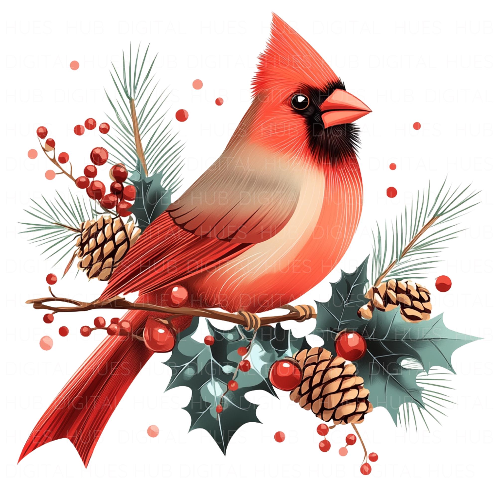 11 Red Cardinal Christmas Card Clipart Watercolor Holiday Printable ...