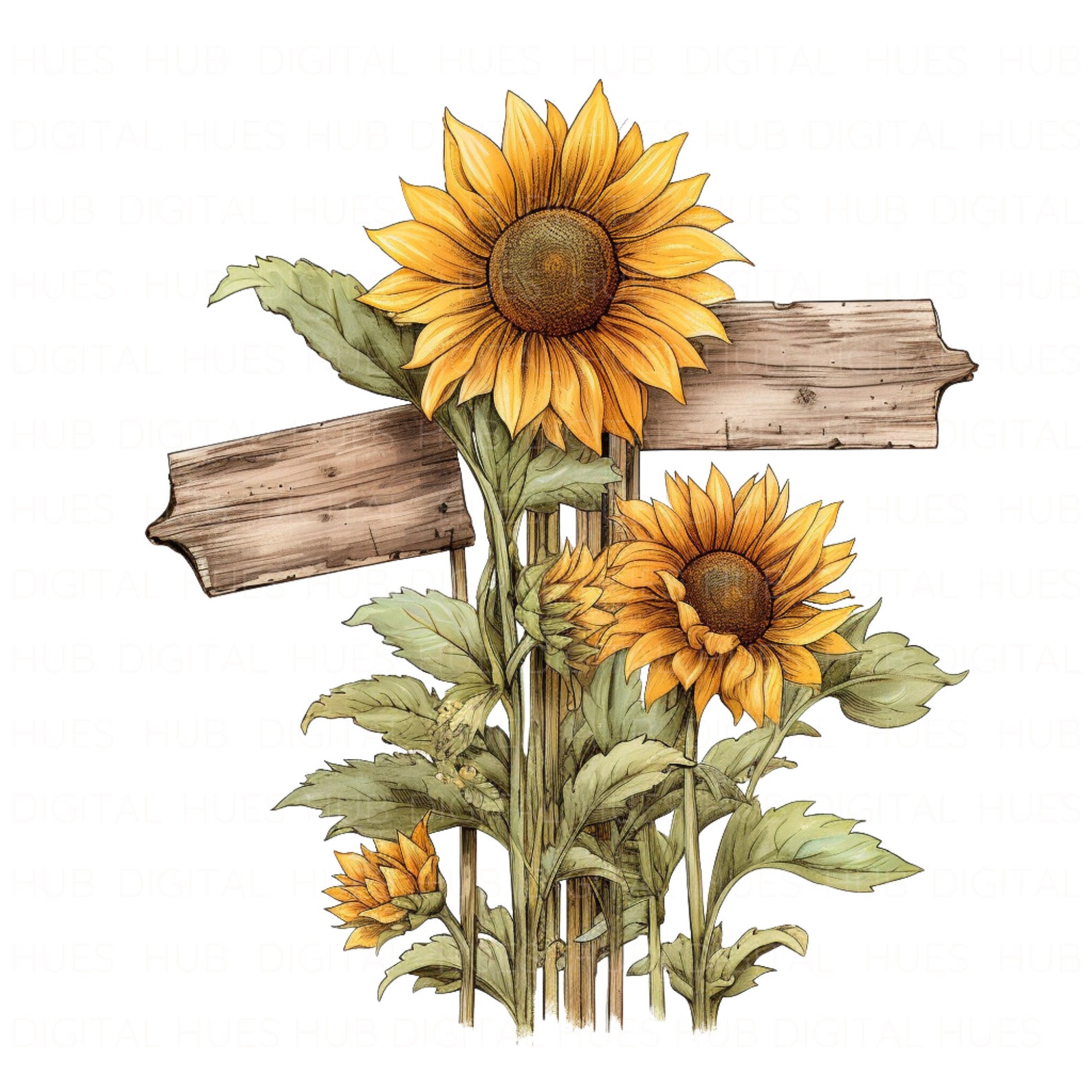 12 Floral Road Sign Clipart Bundle Watercolor Sunflower Rustic Wood ...