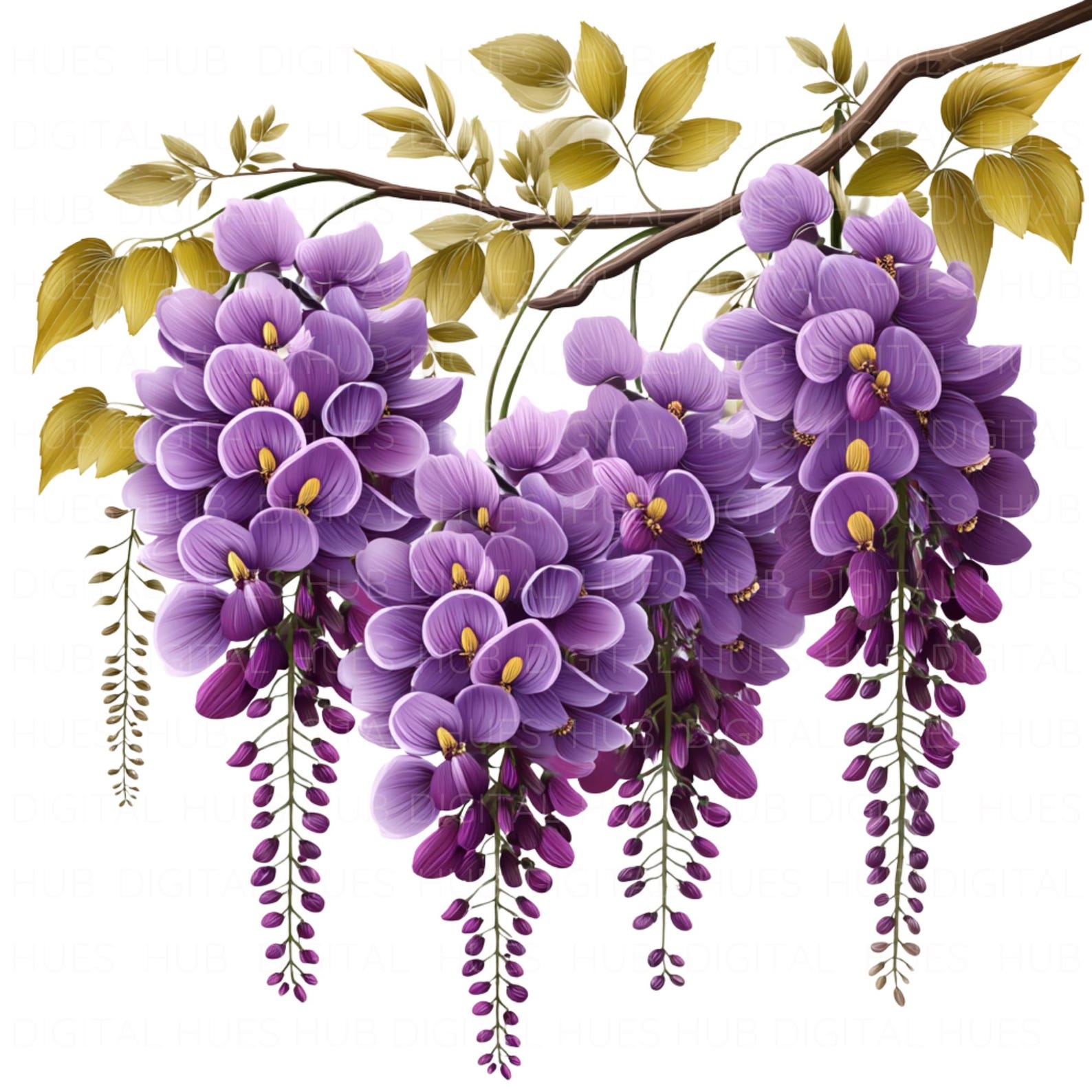 10 Wisteria Flower Strand Clipart Watercolor Purple Flower Art ...