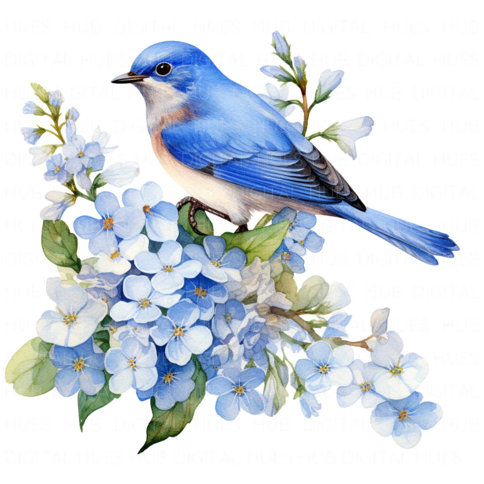 14 Floral Bluebird Clipart Bundle Watercolor Forget Me Not Printable ...