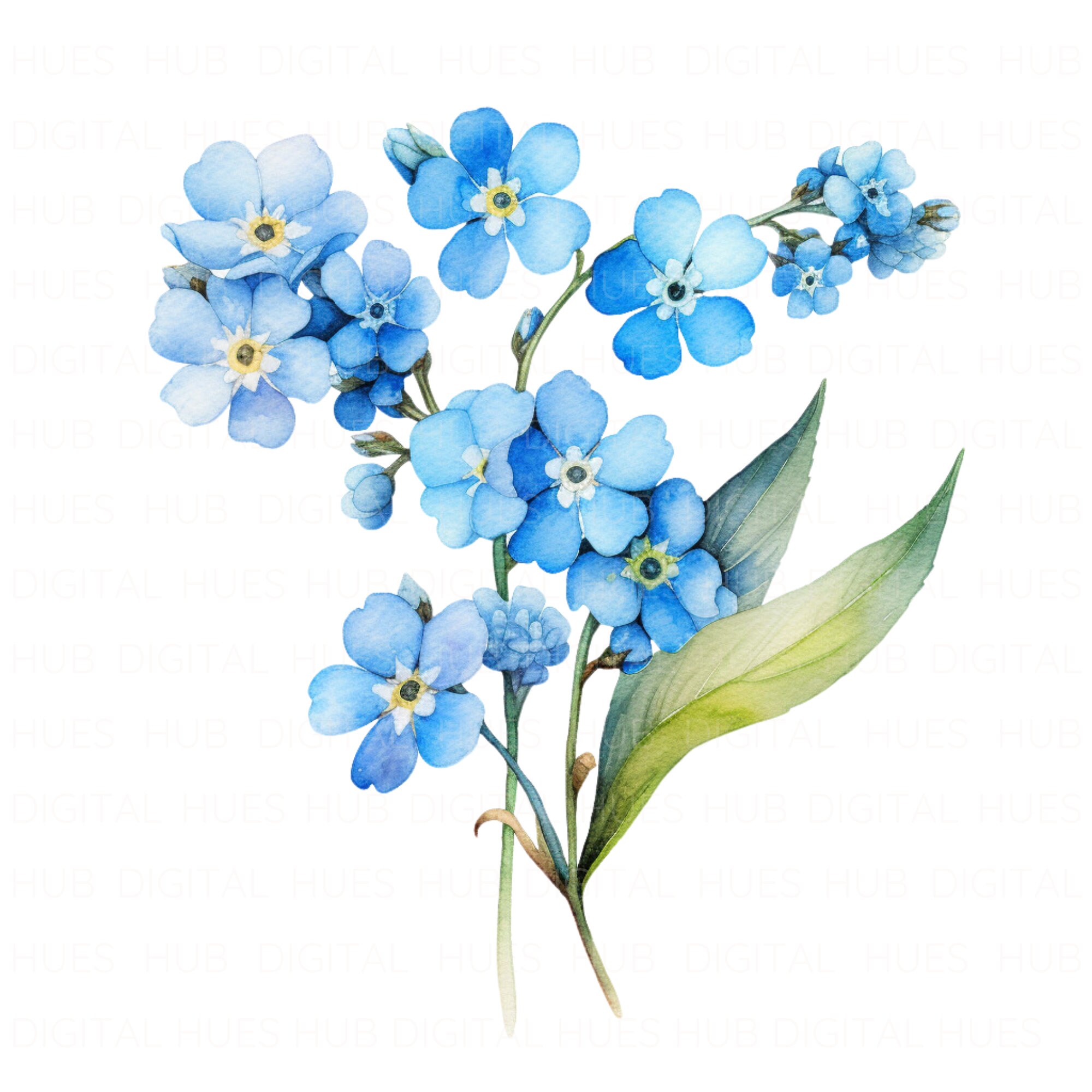 18 Forget Me Not Flower Clipart Bundle Watercolor Forget Me Not ...