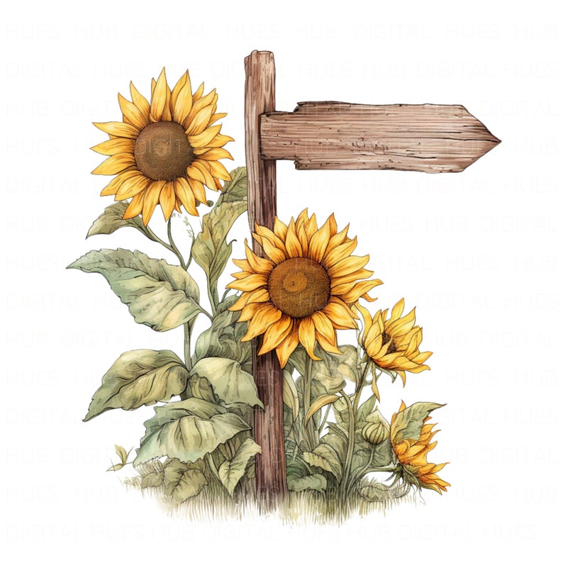 12 Floral Road Sign Clipart Bundle Watercolor Sunflower Rustic Wood ...
