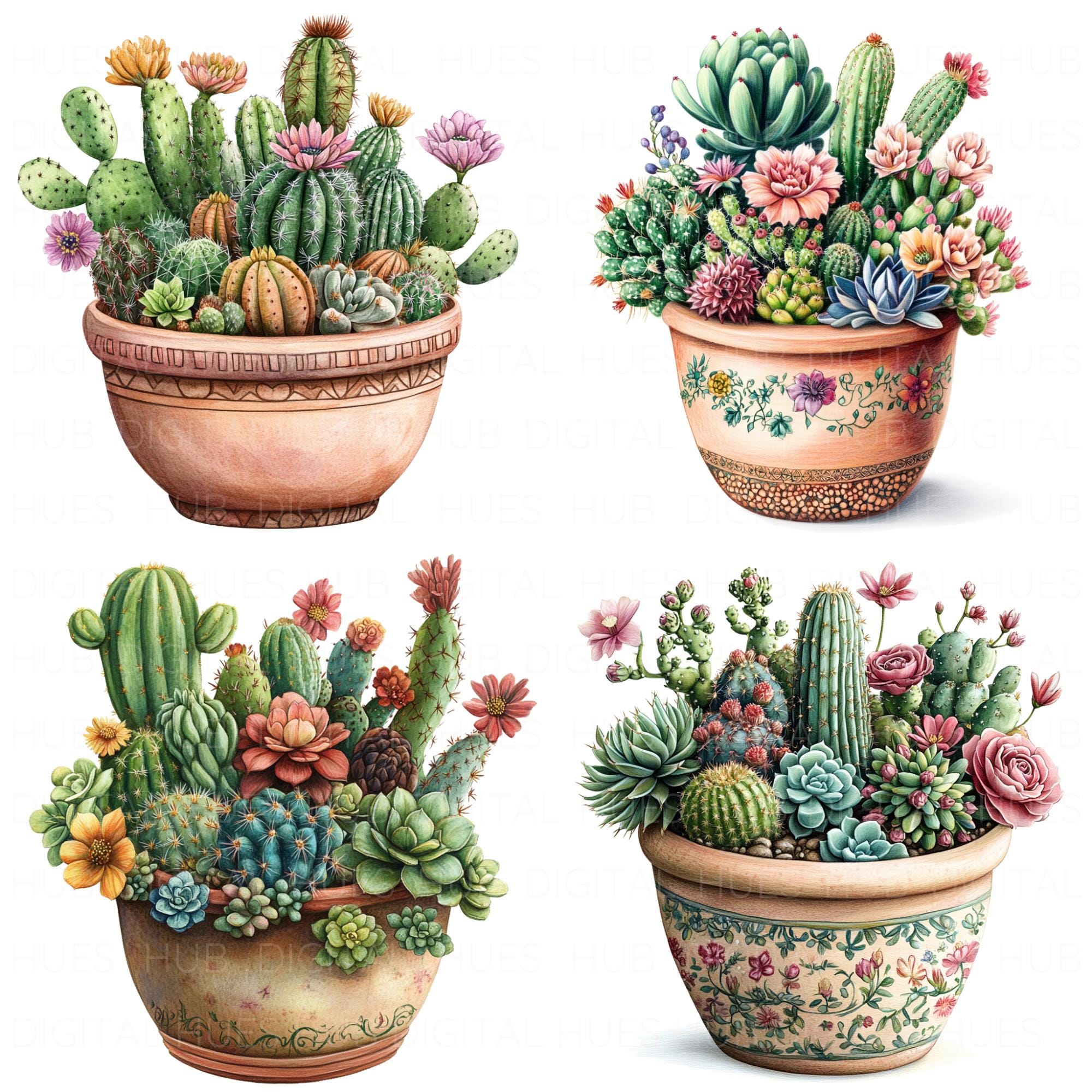 13 Succulent Pot Clipart Watercolor Potted Indoor Cactus Succulent ...