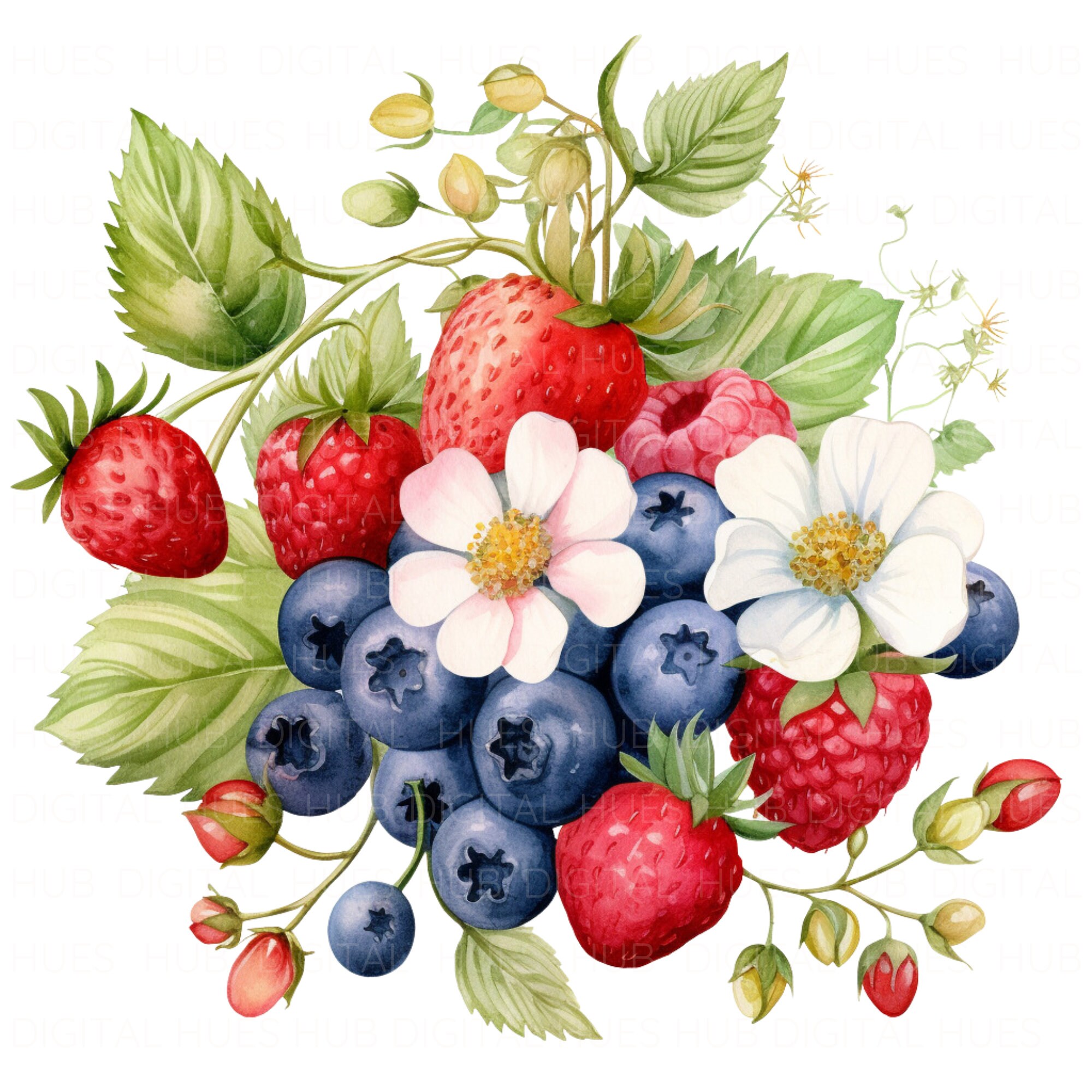 10 Summer Berries Clipart Bundle Watercolor Wild Berries Fruits Clipart ...