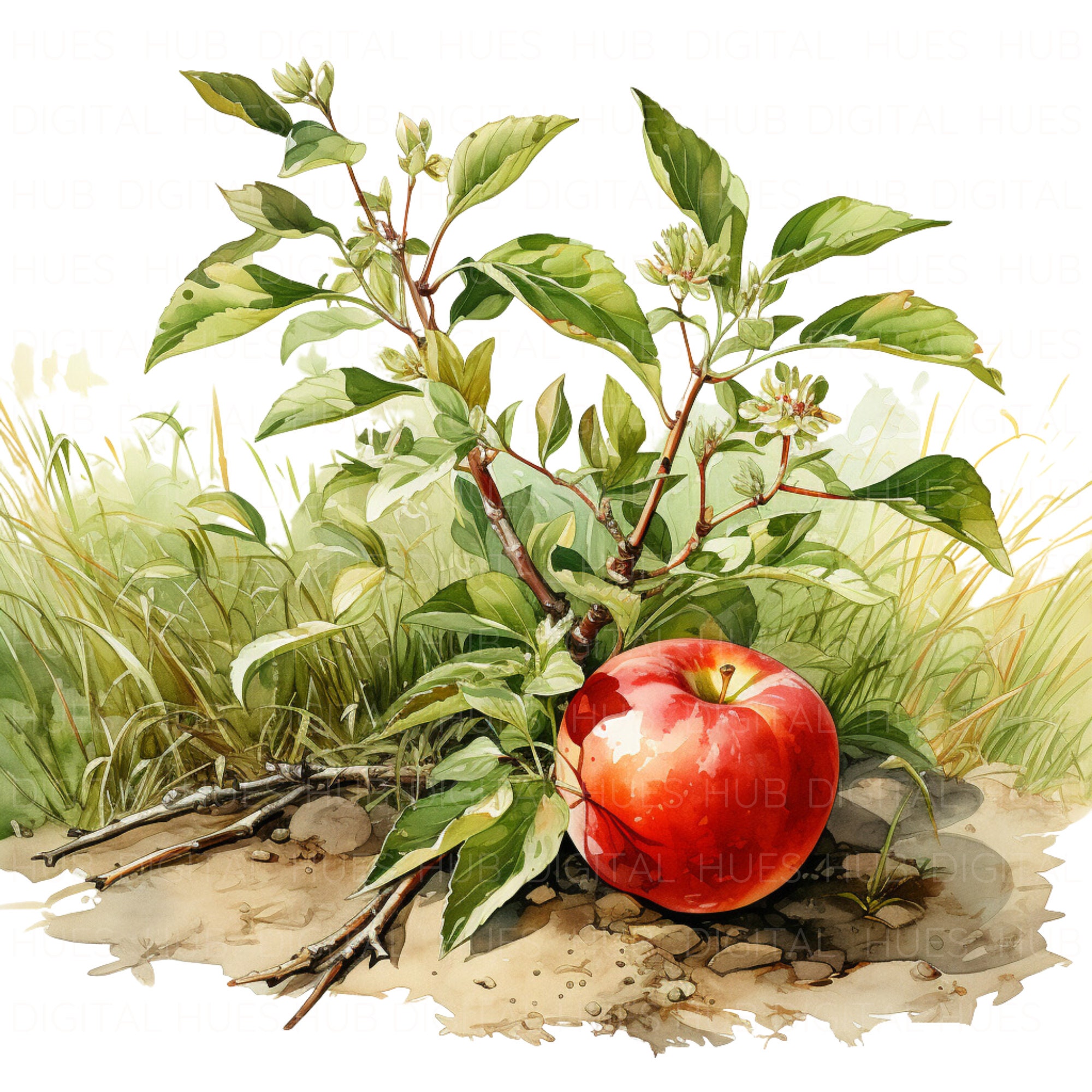 15 Apple in Bush Watercolor Clipart Apple Clipart High Quality JPEG ...