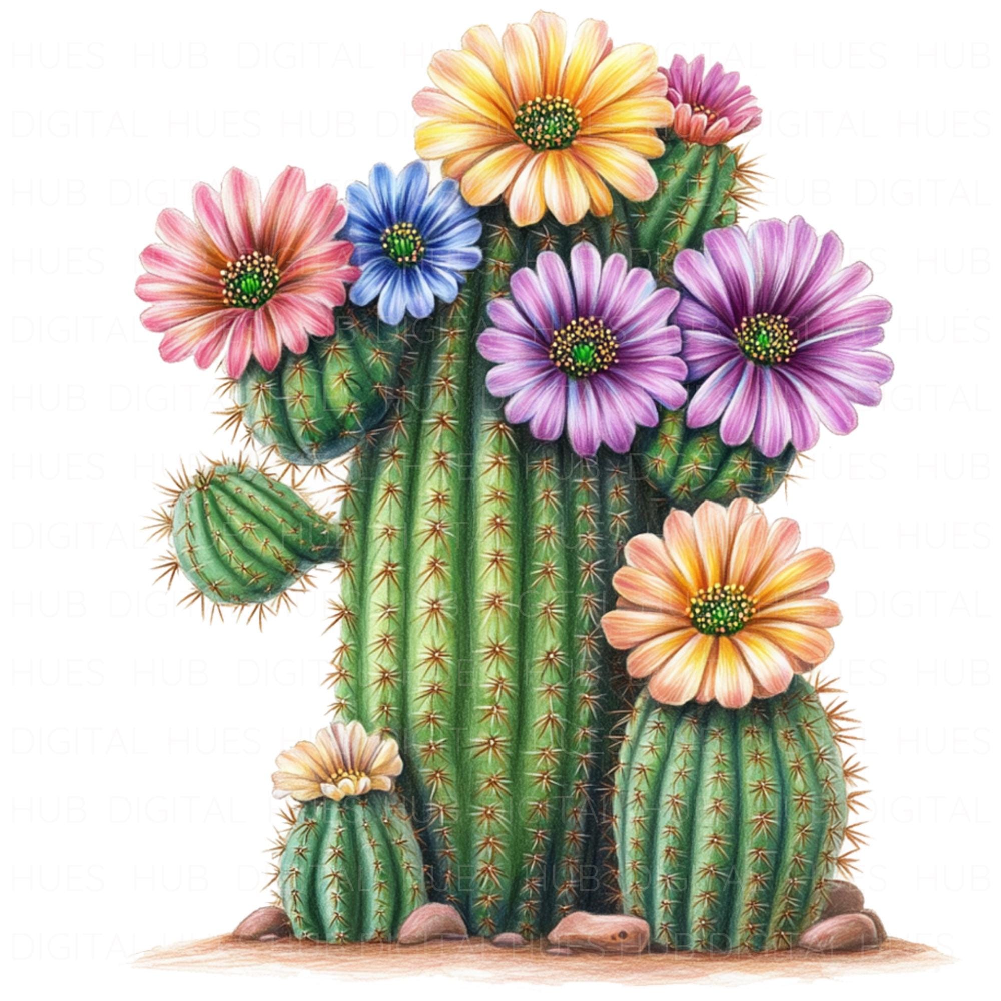 14 Blooming Cactus Clipart Watercolor Desert Cactus Plant Succulent ...