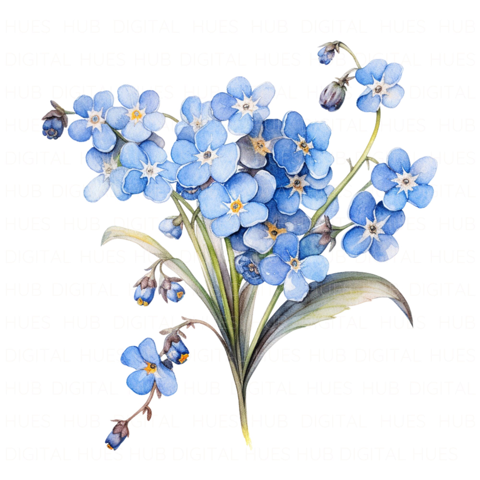 18 Forget Me Not Flower Clipart Bundle Watercolor Forget Me Not ...