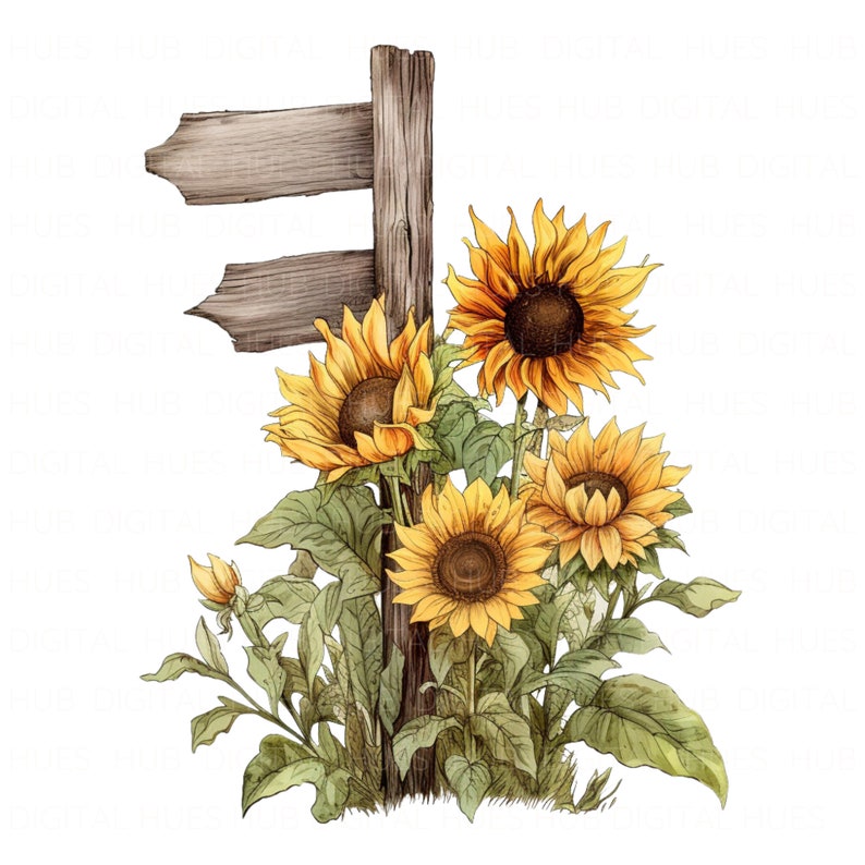 12 Floral Road Sign Clipart Bundle Watercolor Sunflower Rustic Wood ...