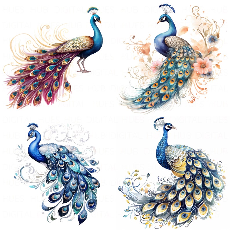 13 Peacock Clipart Bundle Art Decor Watercolor Clipart High Quality ...