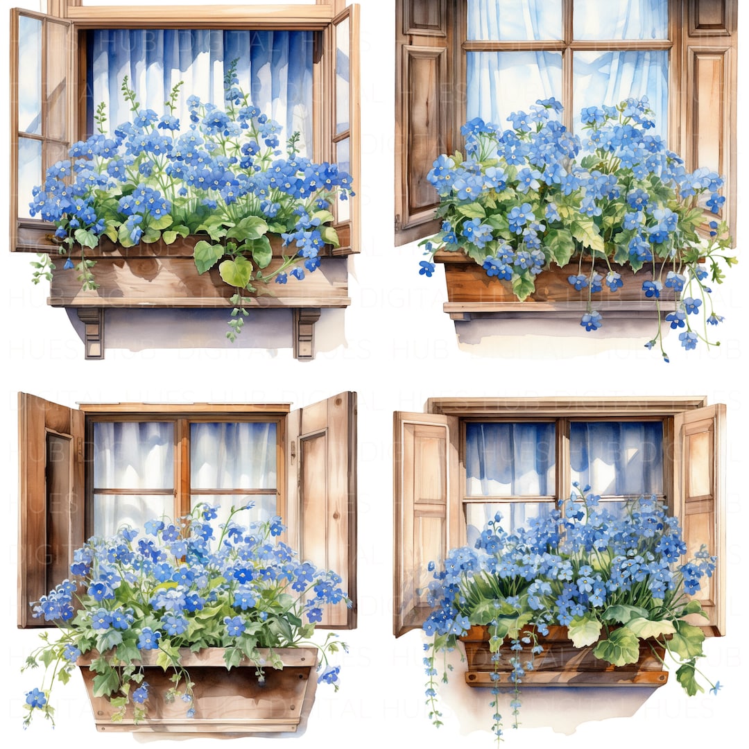 11 Forget Me Not Flower Box on Window Clipart Bundle Watercolor Window ...