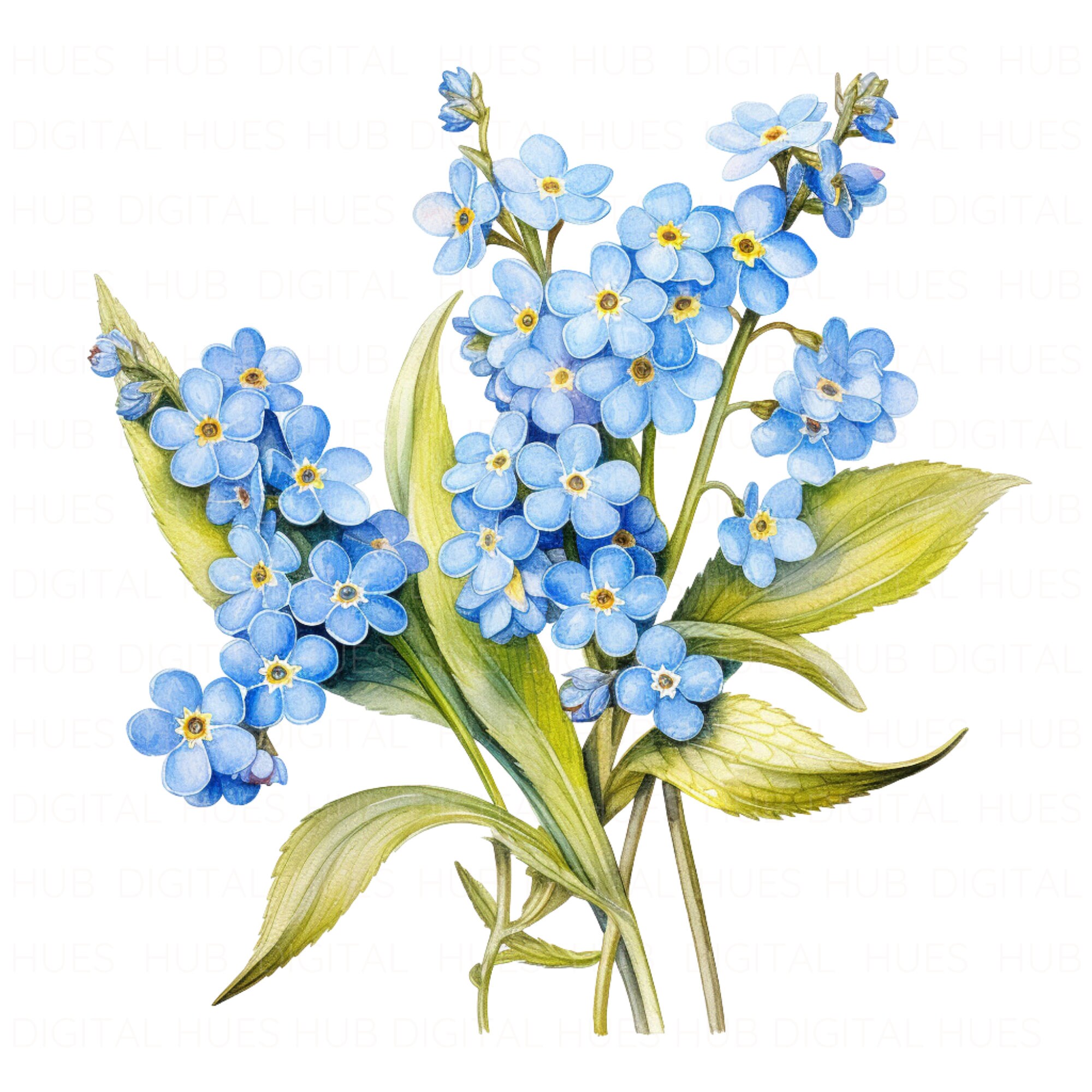 18 Forget Me Not Flower Clipart Bundle Watercolor Forget Me Not ...