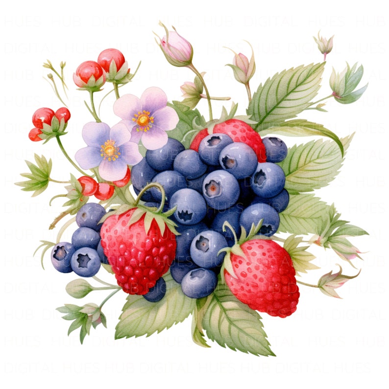 10 Summer Berries Clipart Bundle Watercolor Wild Berries Fruits Clipart ...