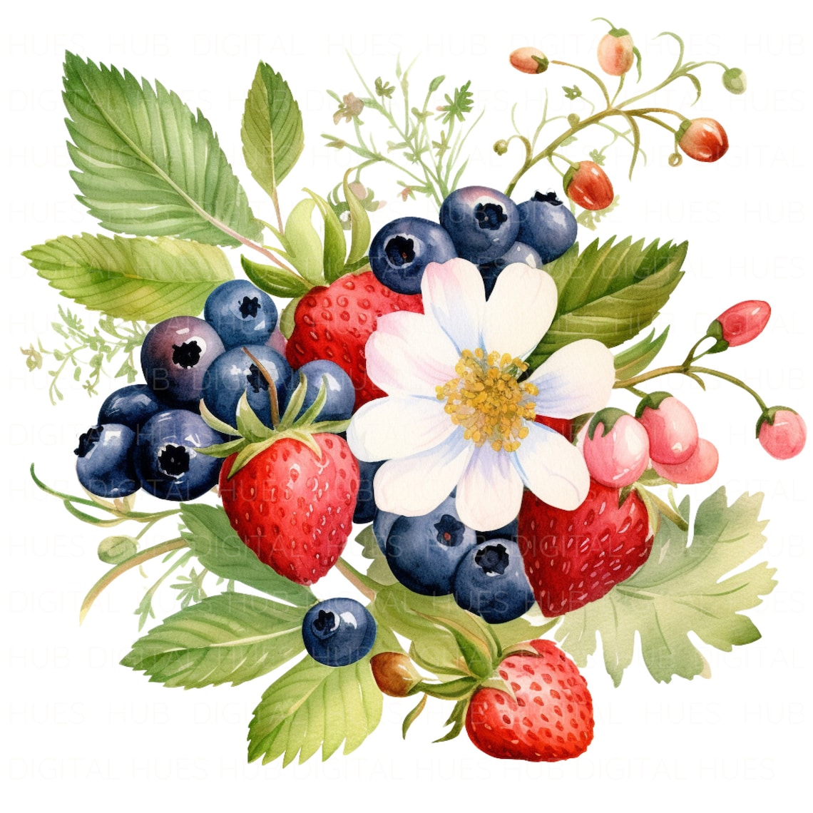10 Summer Berries Clipart Bundle Watercolor Wild Berries Fruits Clipart ...