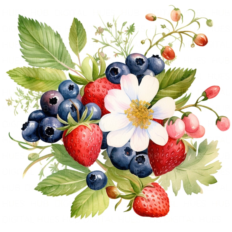 10 Summer Berries Clipart Bundle Watercolor Wild Berries Fruits Clipart ...