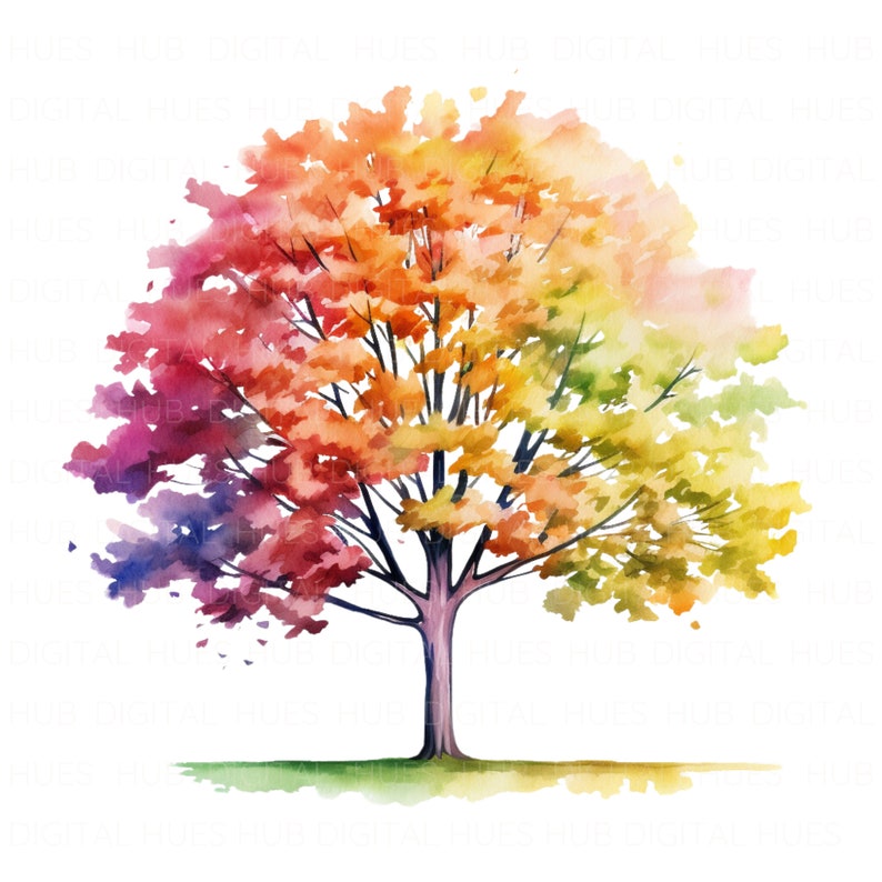 16 All Season Tree Clipart Bundle Watercolor Tree Changing Color High ...