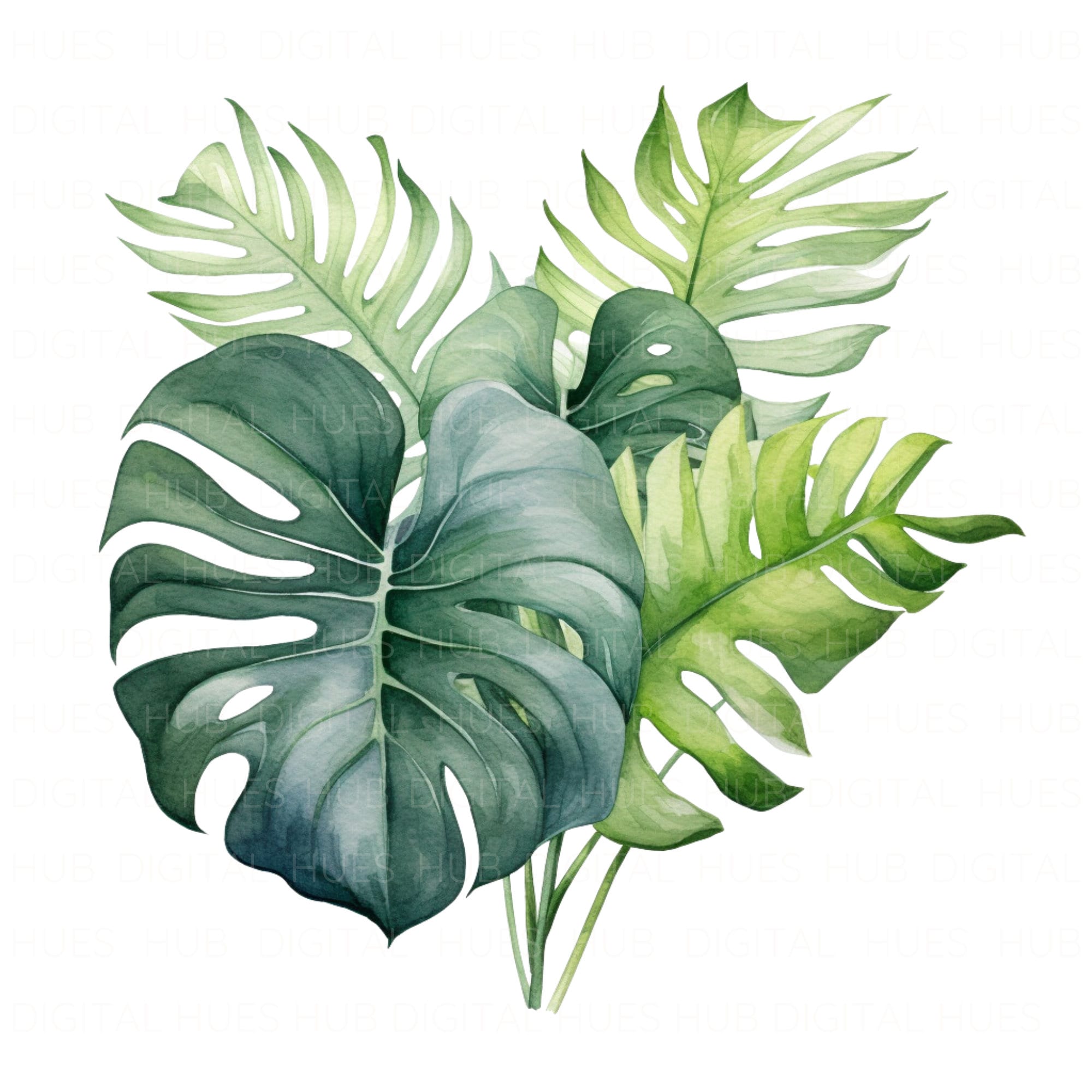 15 Watercolor Monstera Leaf Clipart Botanical Clipart High Quality JPEG ...