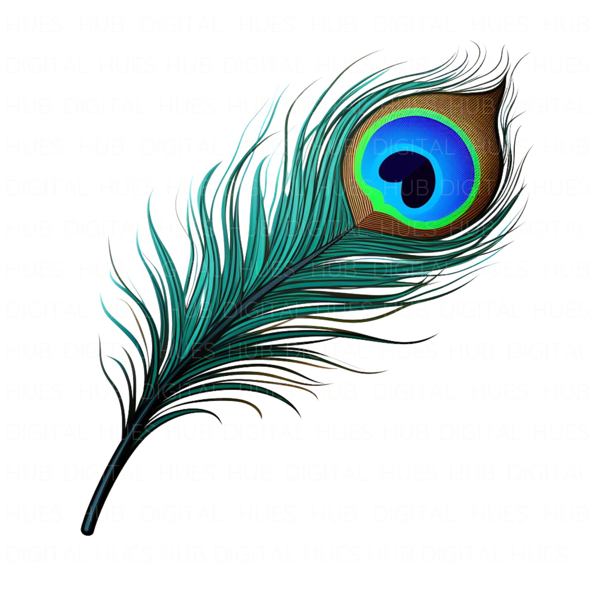 15 Peacock Feather Clipart Bundle Watercolor Clipart High Quality JPEG ...