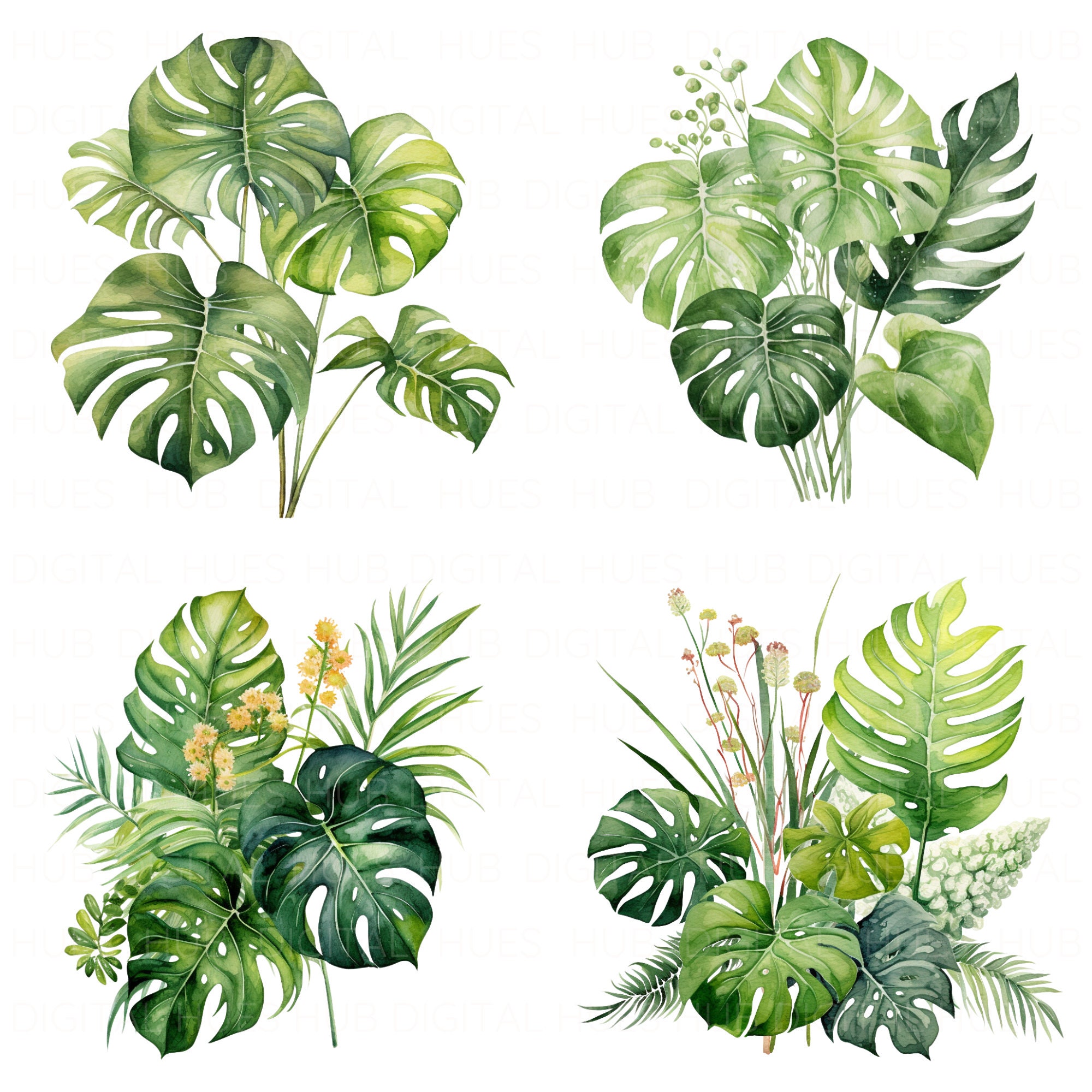 15 Watercolor Monstera Leaf Clipart Botanical Clipart High Quality JPEG ...