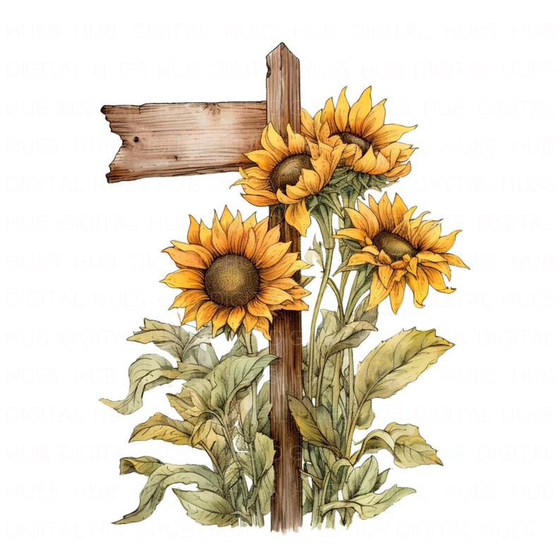 12 Floral Road Sign Clipart Bundle Watercolor Sunflower Rustic Wood ...