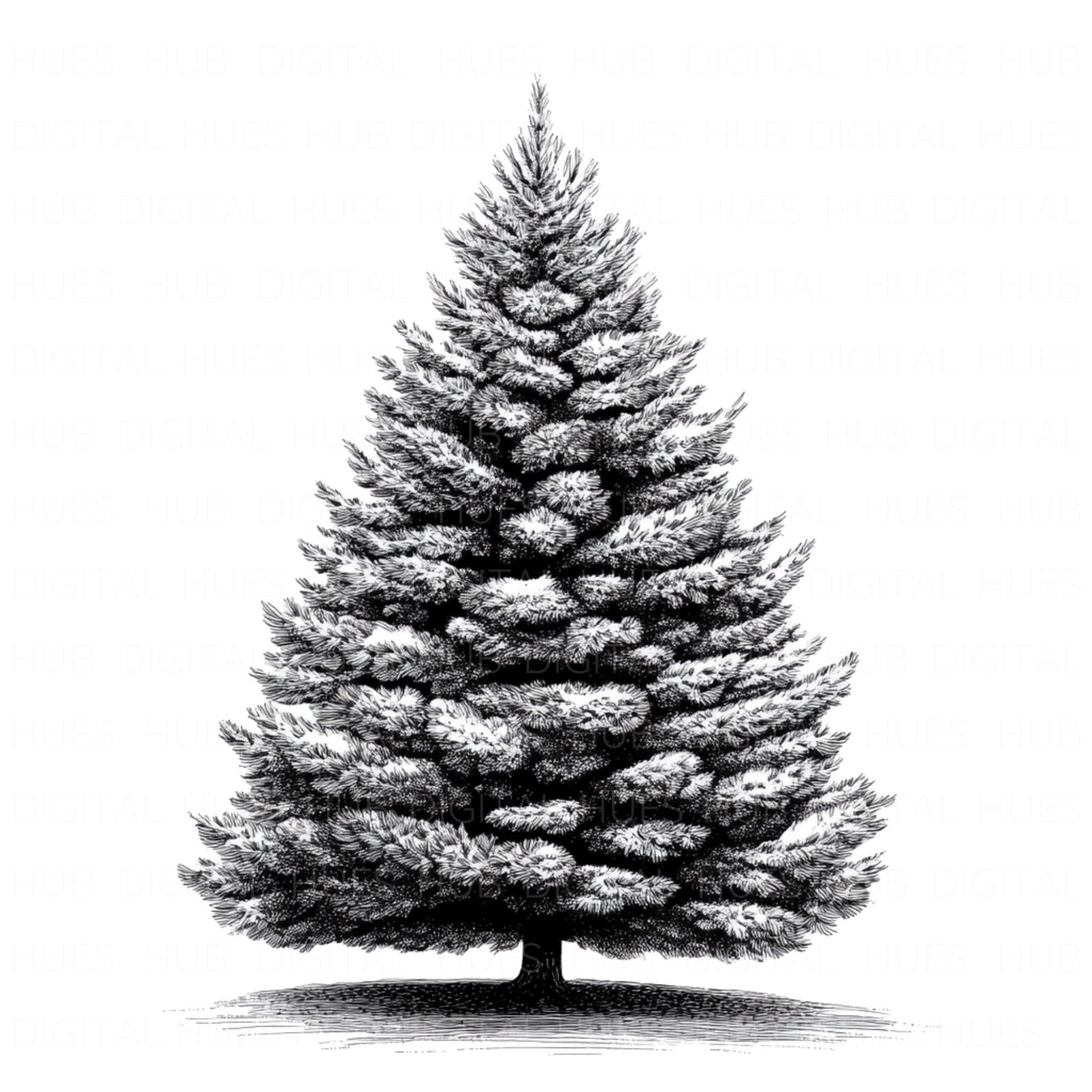 12 Black White Christmas Tree Clipart Watercolor Festive Holiday ...