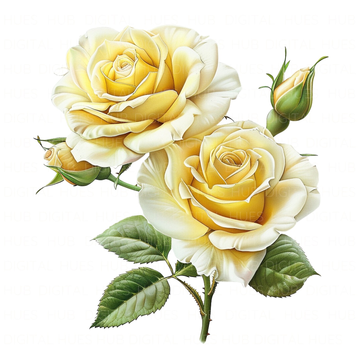 14 Yellow Rose Clipart Watercolor Yellow Flower Golden Rose High ...