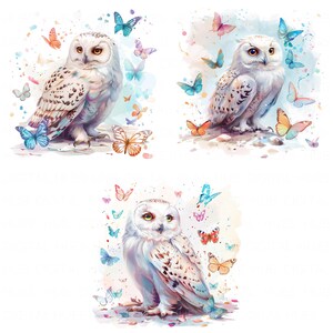 13 Owl and Butterfly Clipart Watercolor Nursery Owl Butterfly Clipart ...