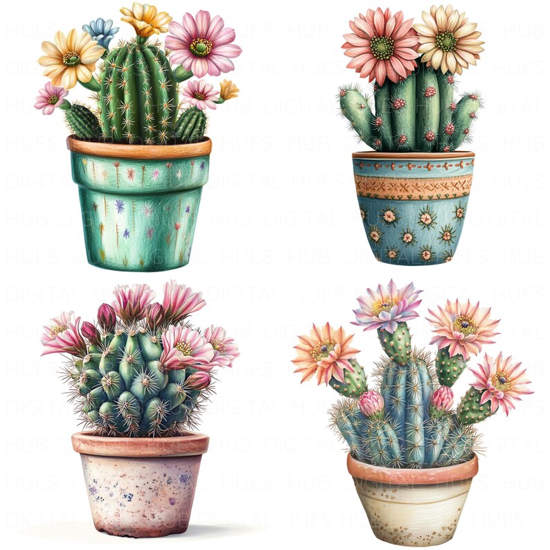 18 Cactus in Pot Clipart Watercolor Blooming Cactus Plant Succulent ...
