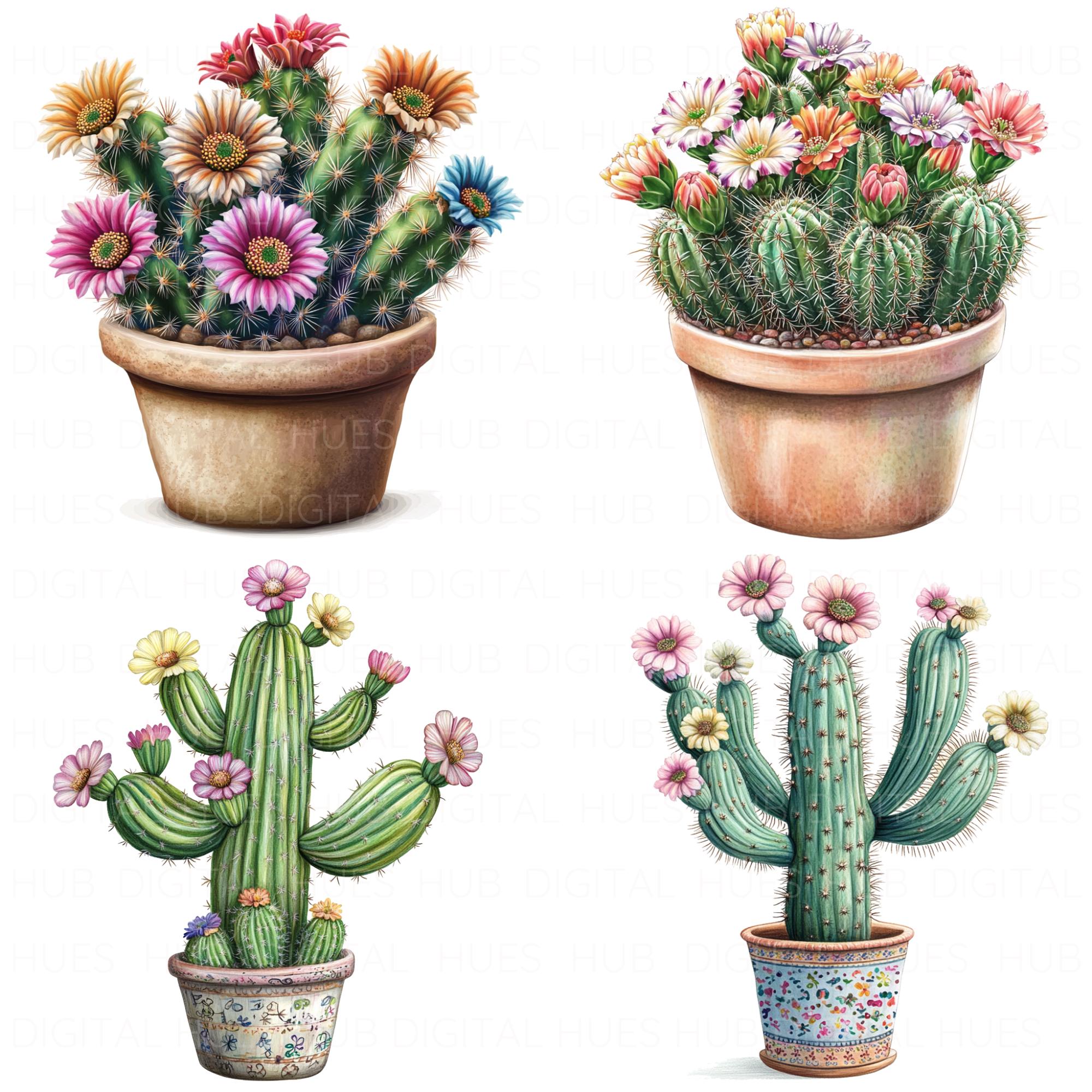 18 Cactus in Pot Clipart Watercolor Blooming Cactus Plant Succulent ...