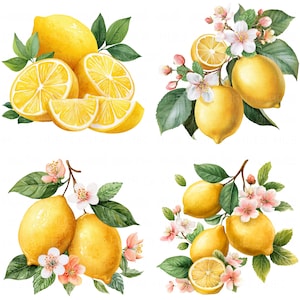 21 Summer Lemon Clipart Watercolor Citrus Fruit Floral Lemon ...