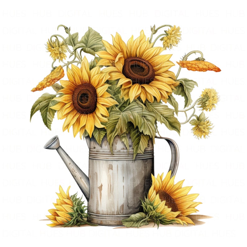 10 Rustic Sunflower Watering Can Clipart Bundle Watercolor Floral Water ...