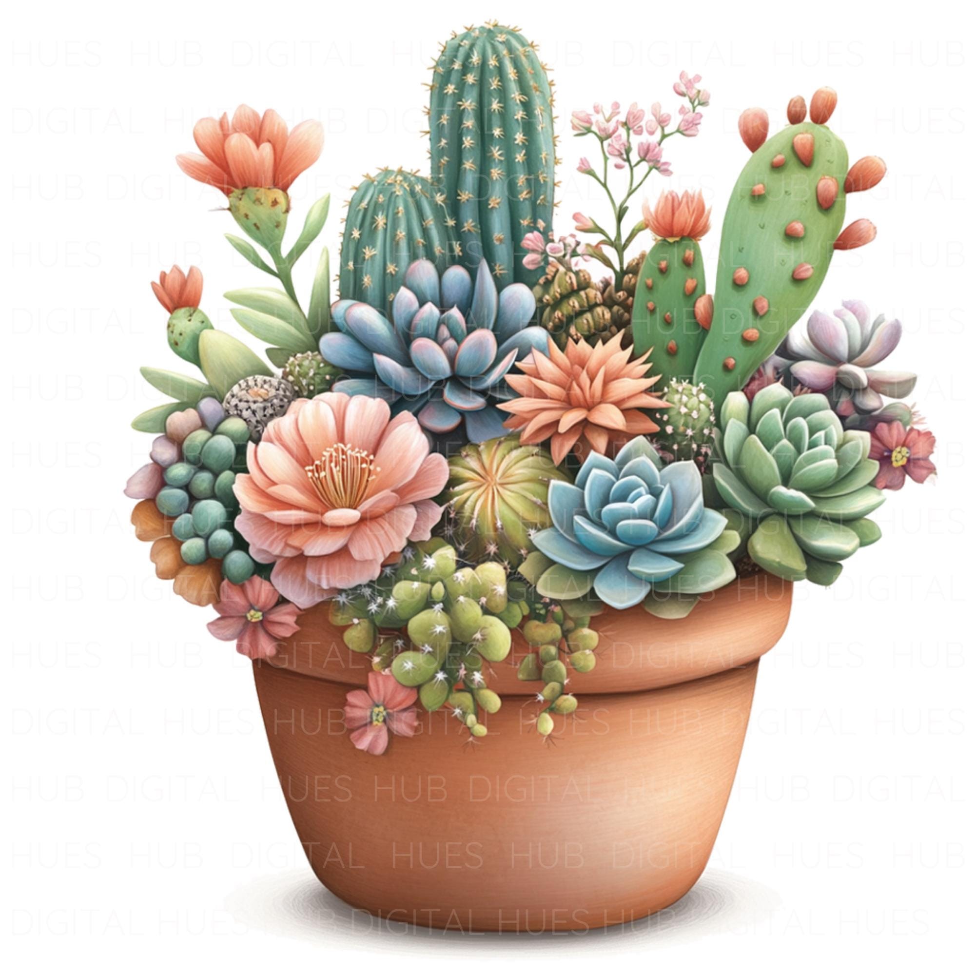 13 Succulent Pot Clipart Watercolor Potted Indoor Cactus Succulent ...