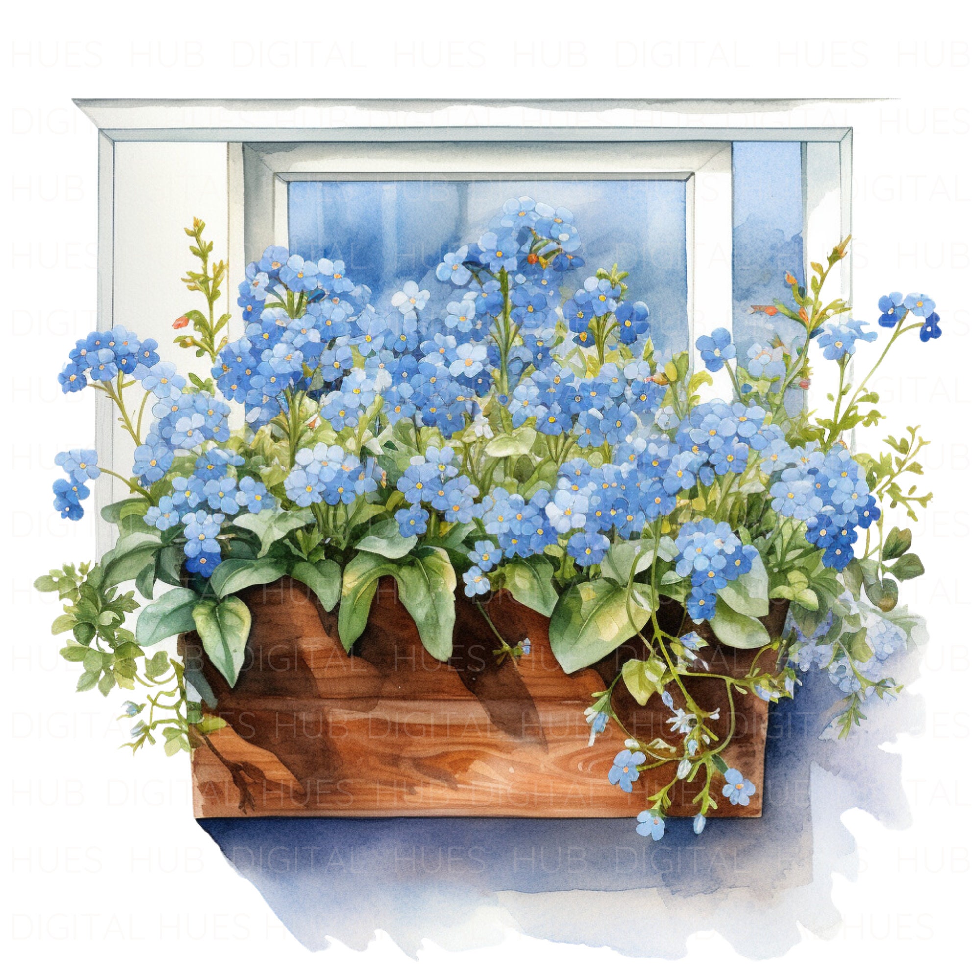11 Forget Me Not Flower Box on Window Clipart Bundle Watercolor Window ...