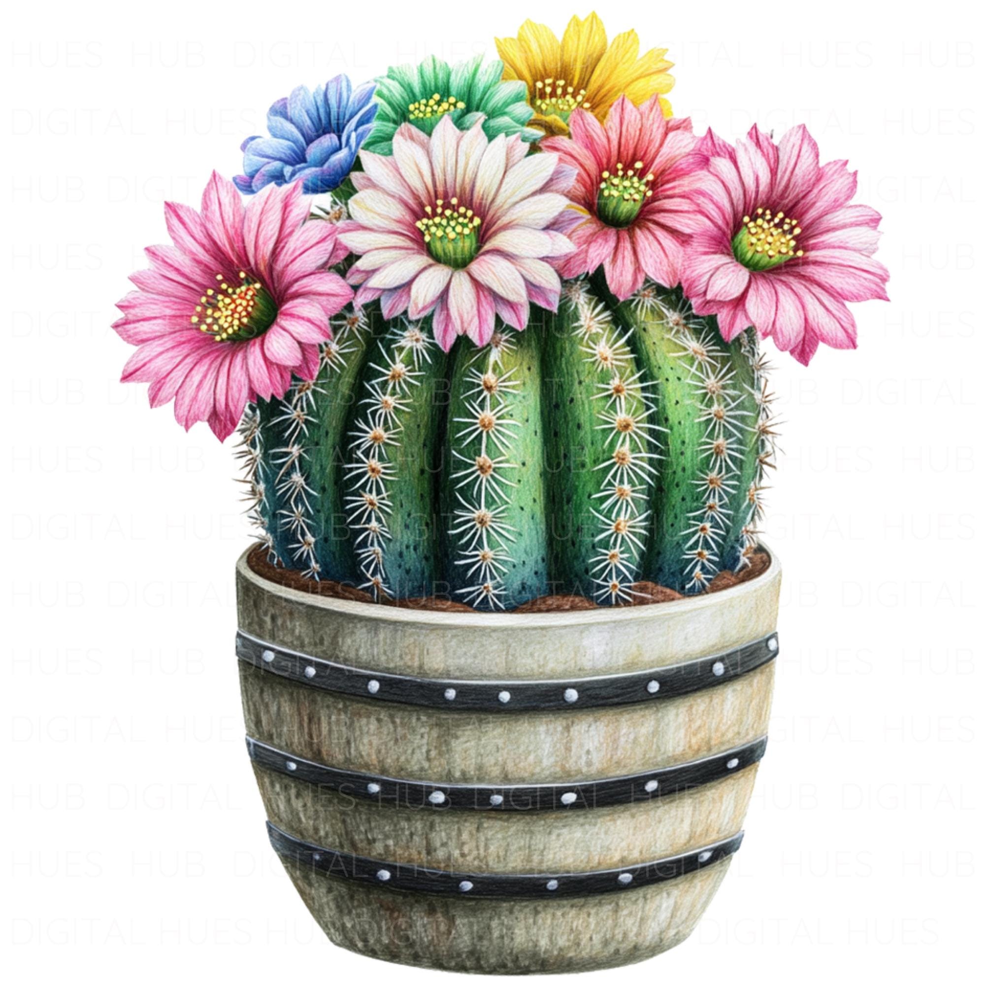 18 Cactus in Pot Clipart Watercolor Blooming Cactus Plant Succulent ...