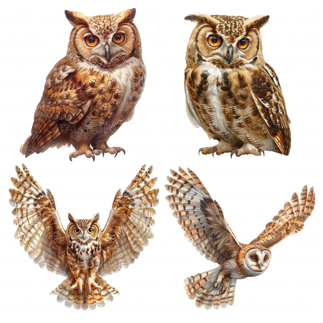 13 Brown Owl Clipart Watercolor Nursery Owl Clipart Digital Download ...