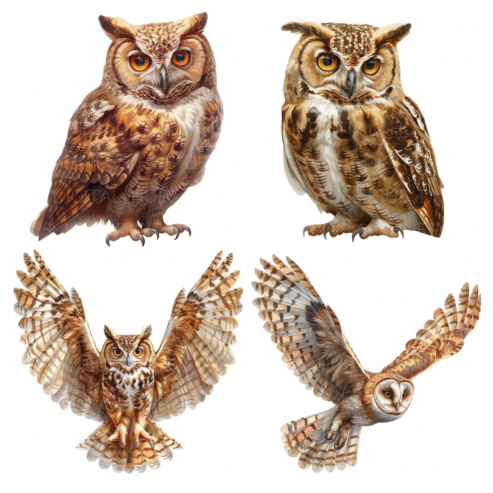 13 Brown Owl Clipart Watercolor Nursery Owl Clipart Digital Download ...