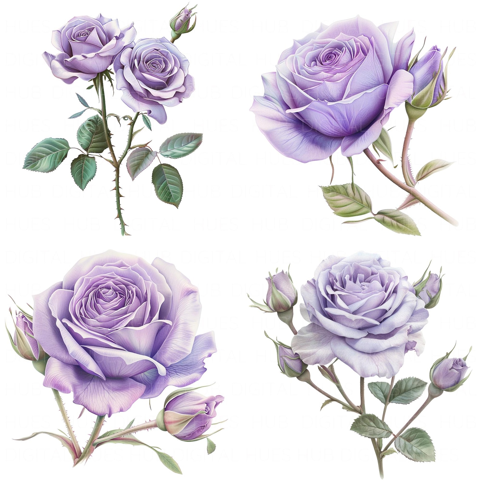 15 Light Purple Roses Clipart Watercolor Purple Single Rose Purple ...