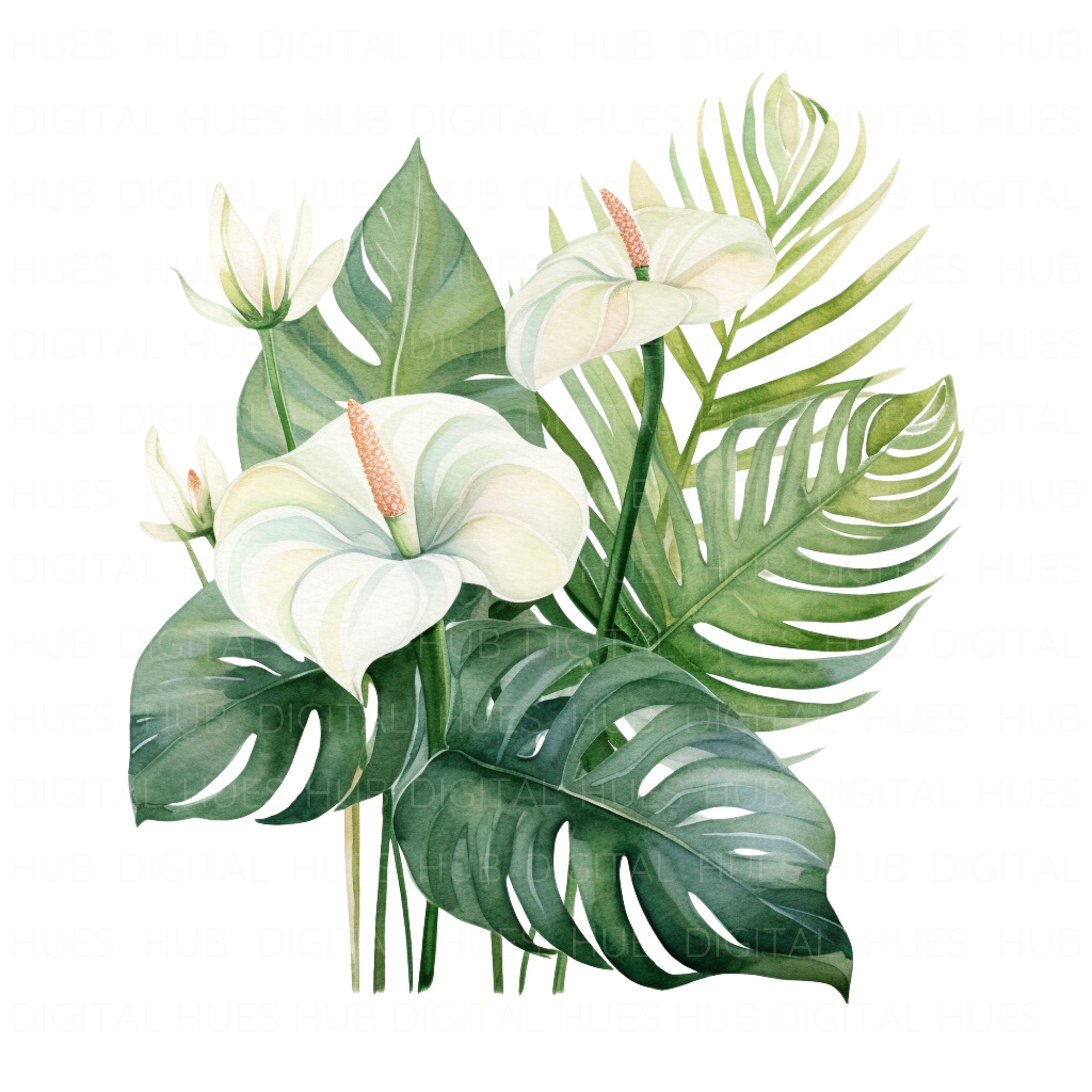 15 Watercolor Monstera Leaf Clipart Botanical Clipart High Quality JPEG ...