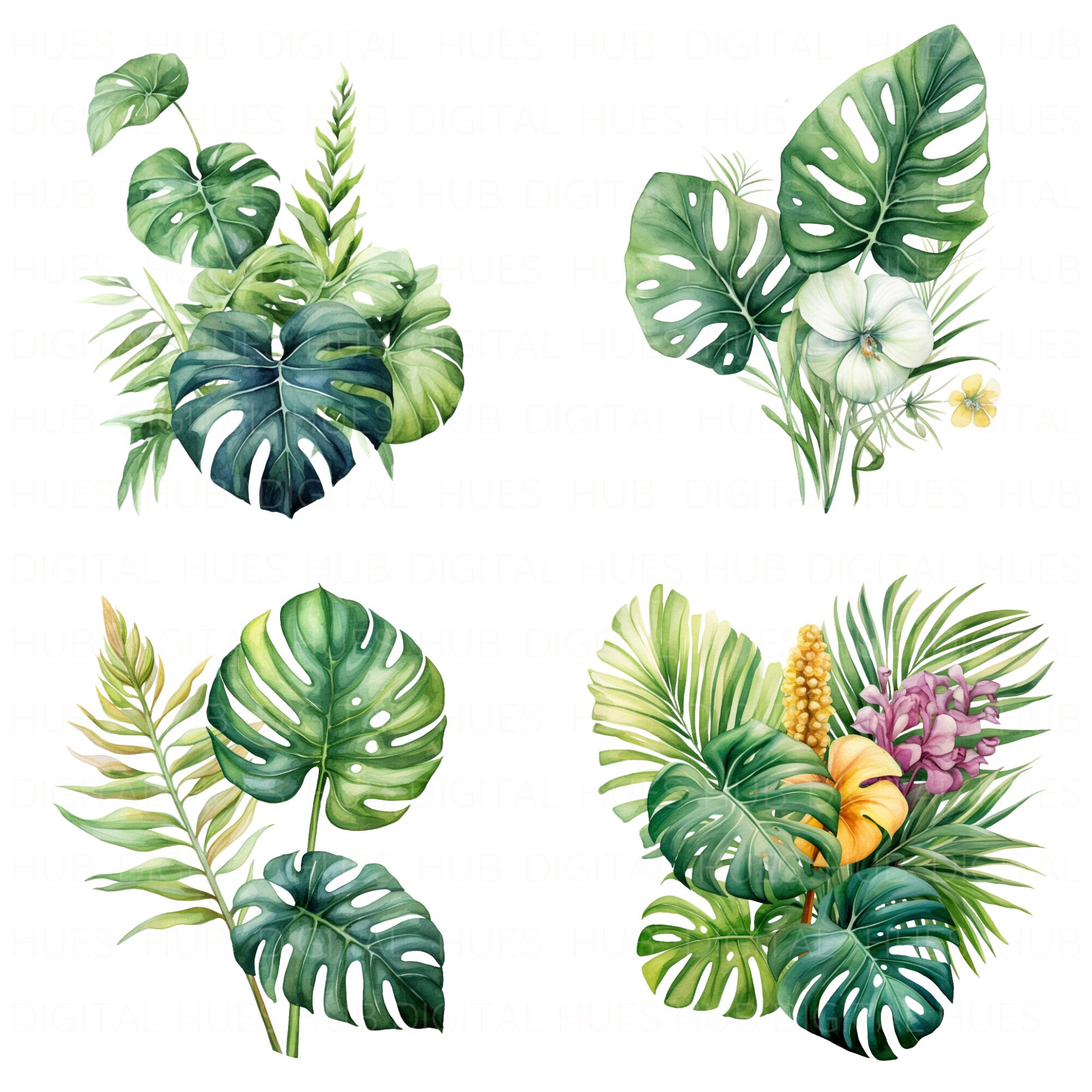 15 Watercolor Monstera Leaf Clipart Botanical Clipart High Quality JPEG ...