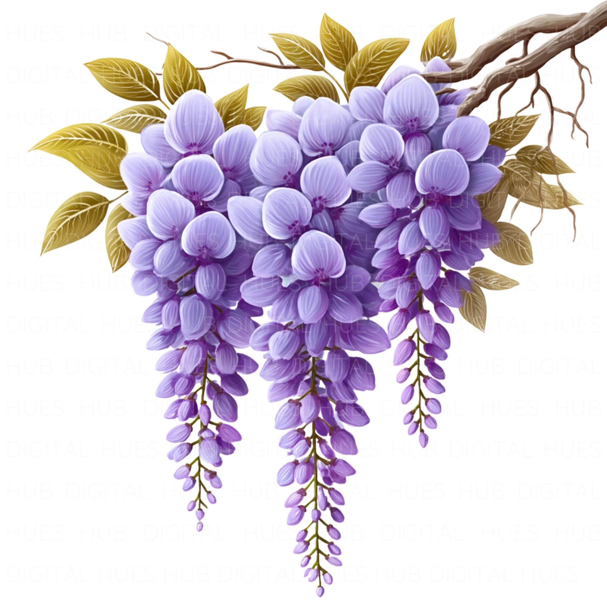 10 Wisteria Flower Strand Clipart Watercolor Purple Flower Art ...