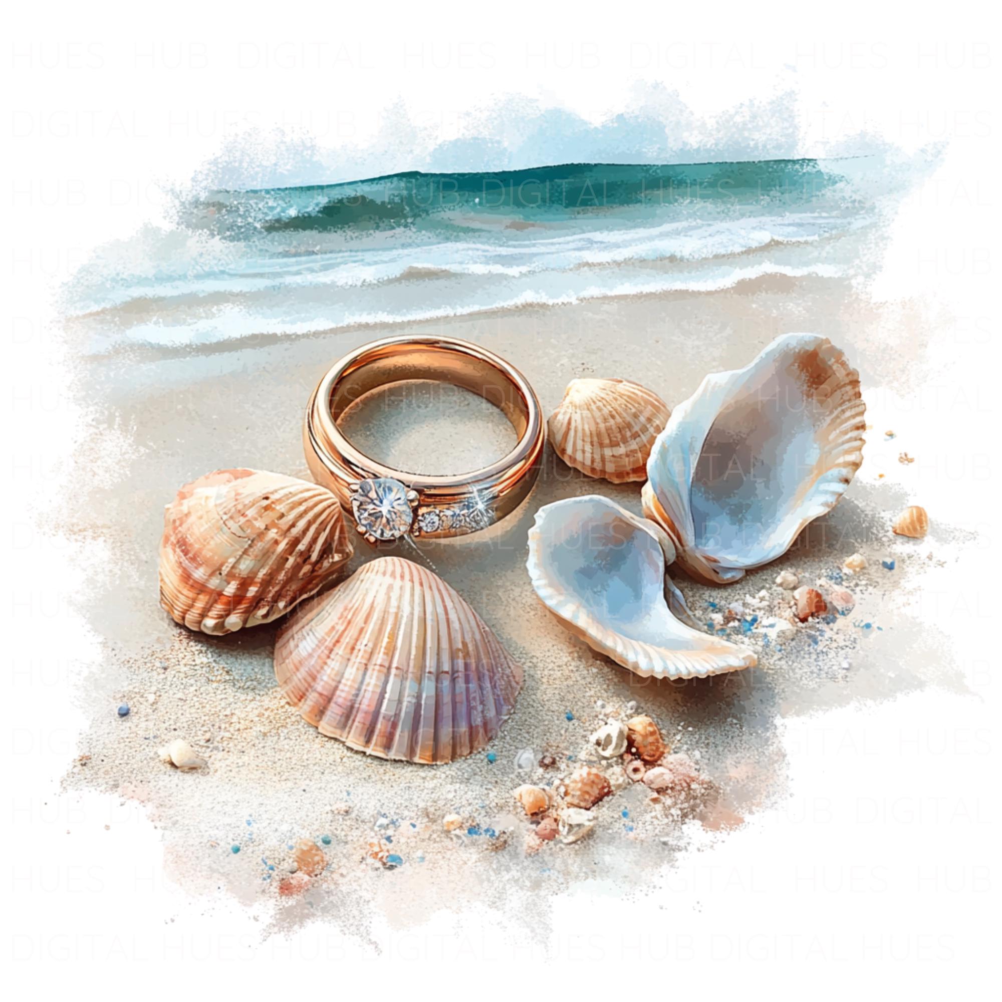 13 Wedding Ring and Sea Shell Clipart Watercolor Romantic Valentine ...