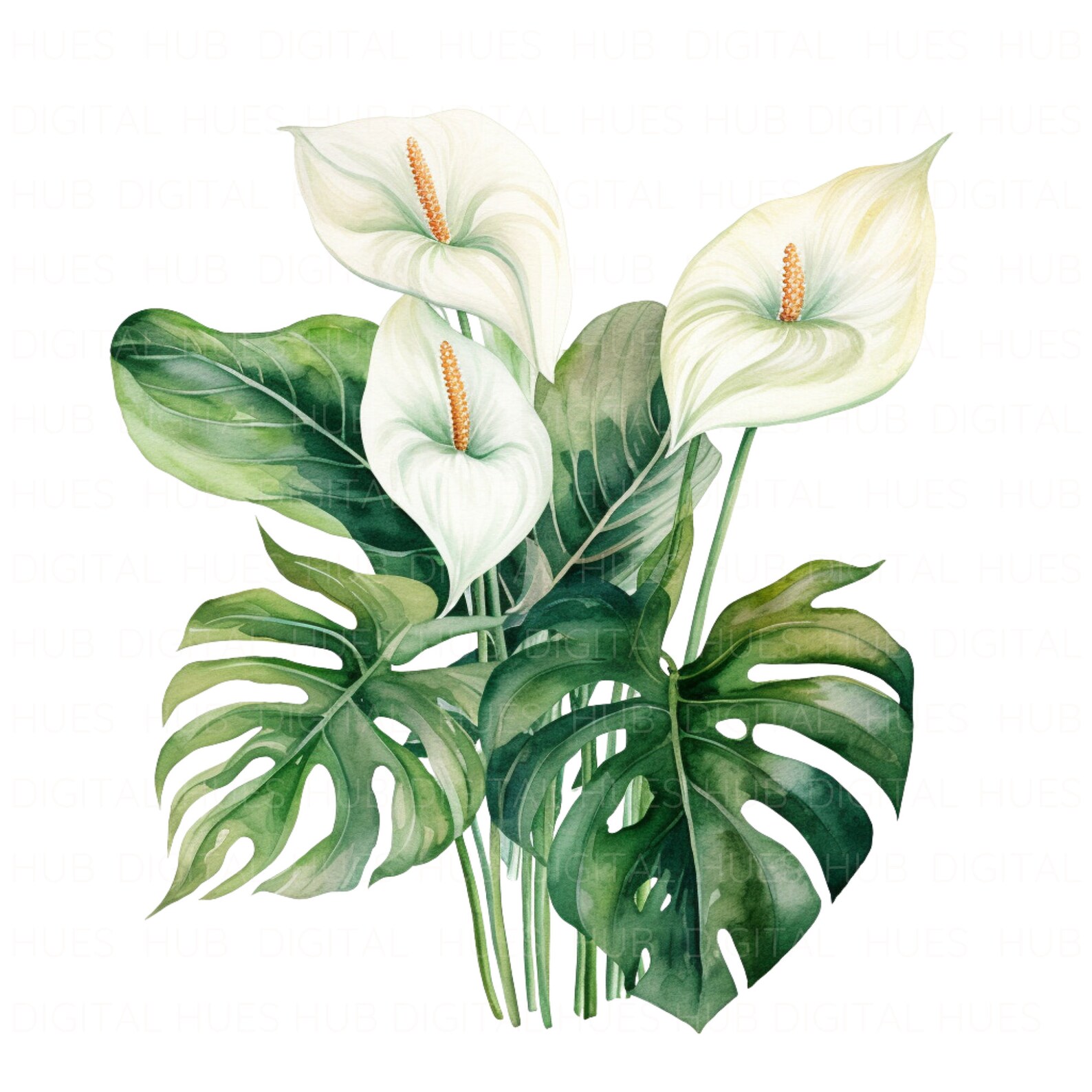 15 Watercolor Monstera Leaf Clipart Botanical Clipart High Quality JPEG ...